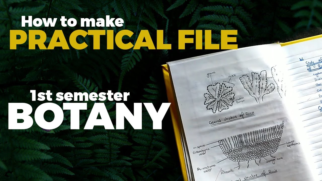 BS Botany practical file | 1st Semester BS Botany practical file ...