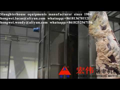 cattle cow carcass washing machine مسلخ المعدات ذبح العجول 牛の屠殺機 бойню ...