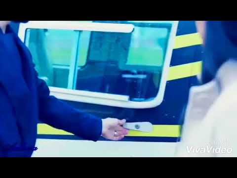 Emir ve Zeinep-Yalan dunya