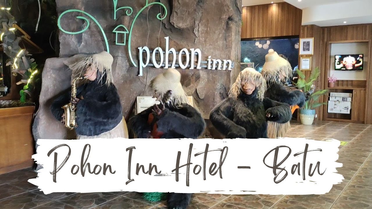 Pohon Inn Hotel Batu - Deluxe Room - Trip ke Batu - Part 7 - YouTube