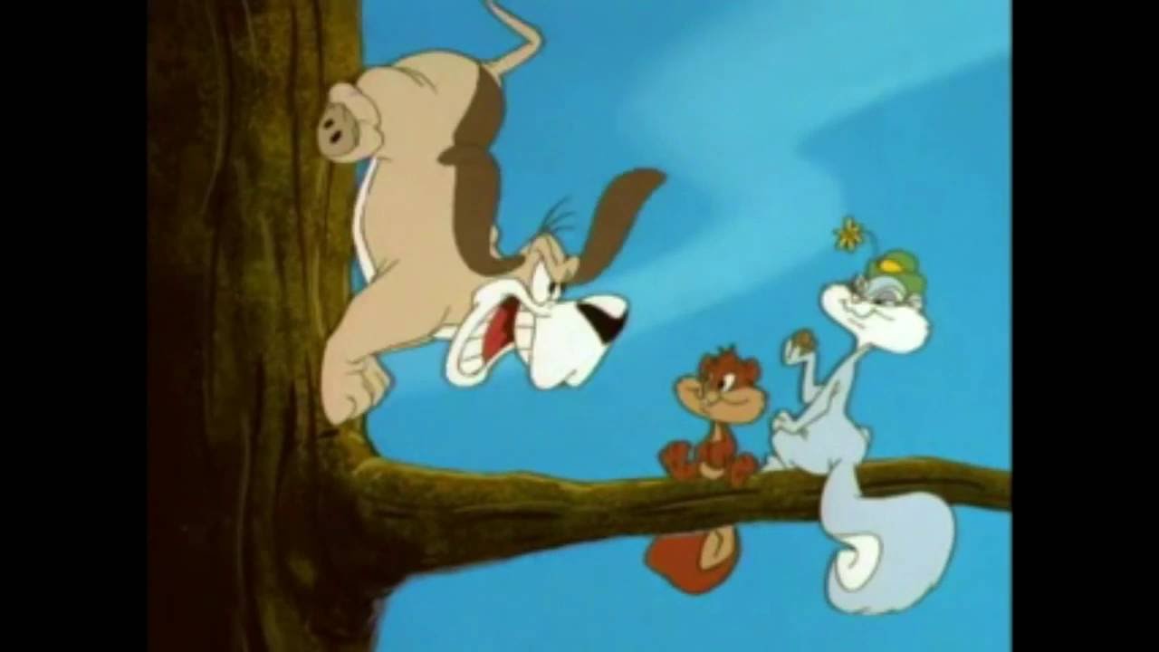 Animaniacs - Slappy Squirrel (Dogs can't climb trees) - YouTube