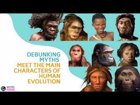 Debunking myths: Meet the main characters of human evolution - YouTube