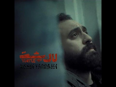 Mehdi Yarrahi - Turtle