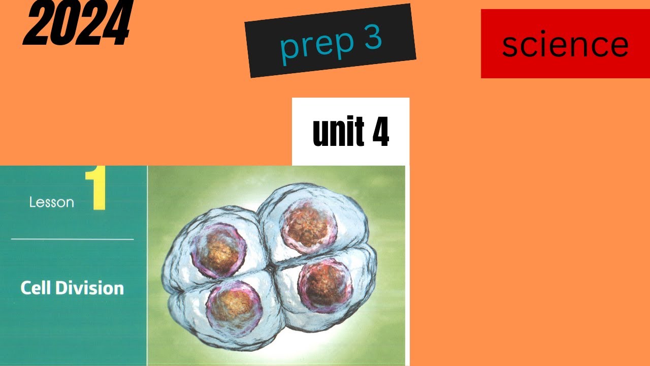 science/prep3/term1/unit4/lesson 1(cell division) كتاب المعاصر - YouTube