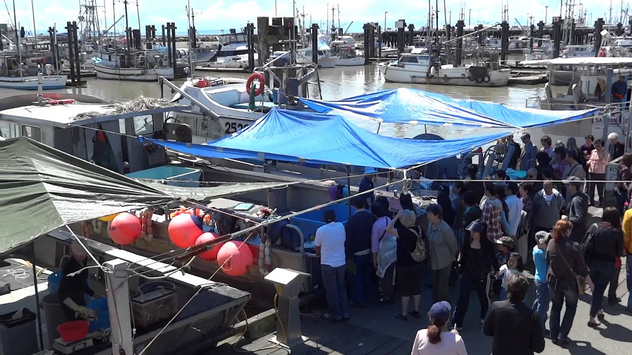 Steveston Fish Market 2 - YouTube