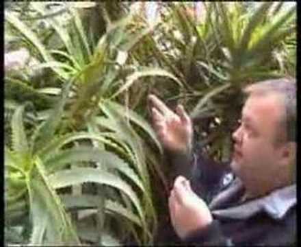 rasharkin on tour new hotel - YouTube
