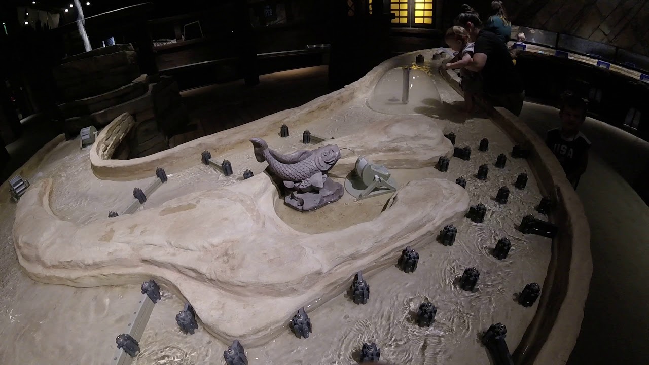 Chaotic Fish and Single Bucket - YouTube