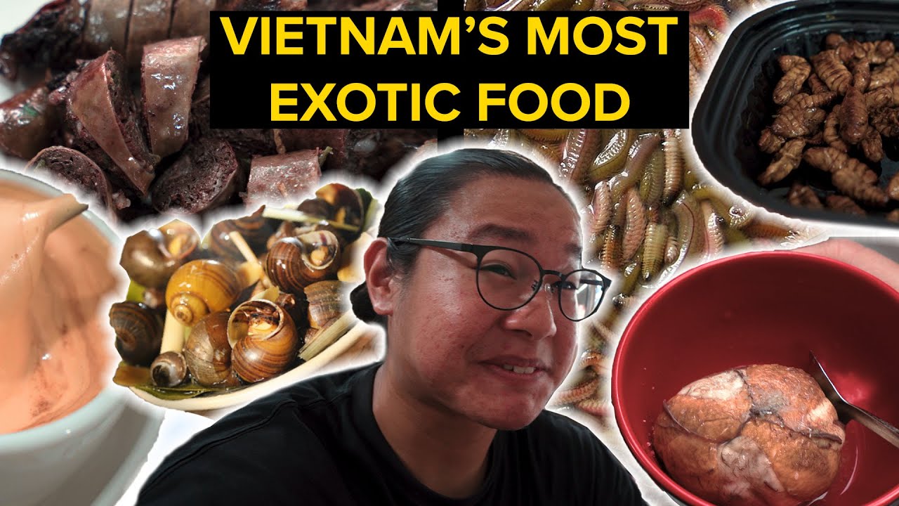 Intense Exotic Food To Try in Vietnam Hanoi - (Ragworms, Balut, Pupa ...