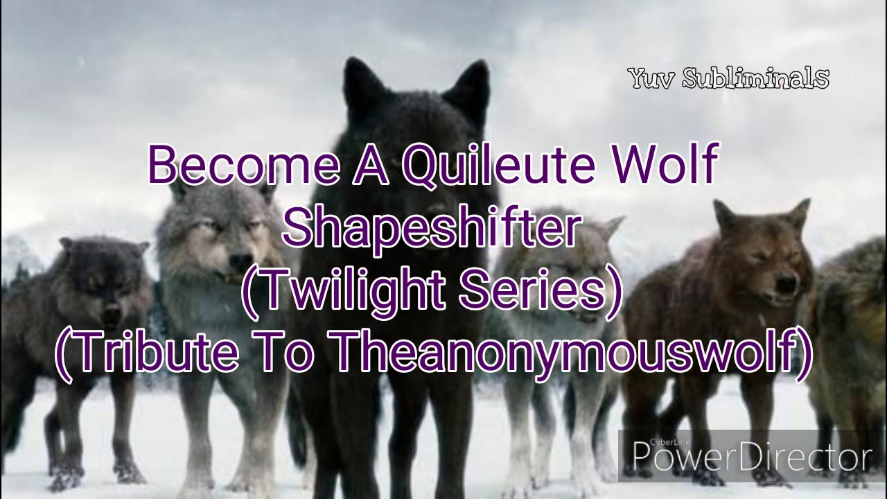 Quileute/Twilight Wolf Shapeshifter Subliminal (Tribute to The ...