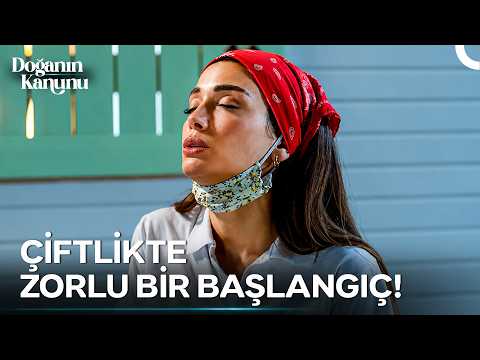 3. Bölümde Neler Oldu? - Doğanın Kanunu