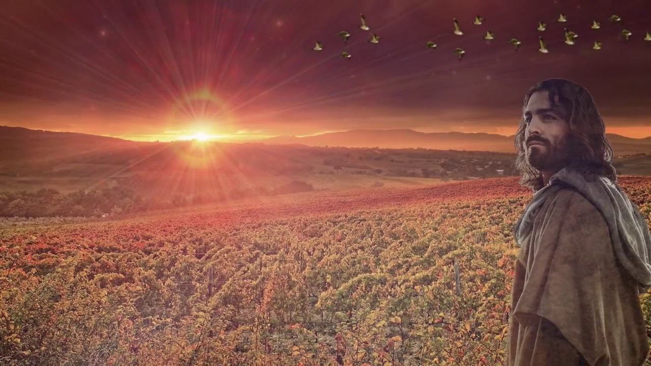 Jesus The harvest is plentiful, but the workers are few animated video ...