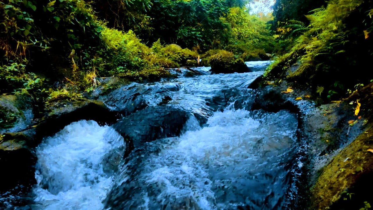 The ultimate relaxation spot! and let the stress melt away as you enjoy ...