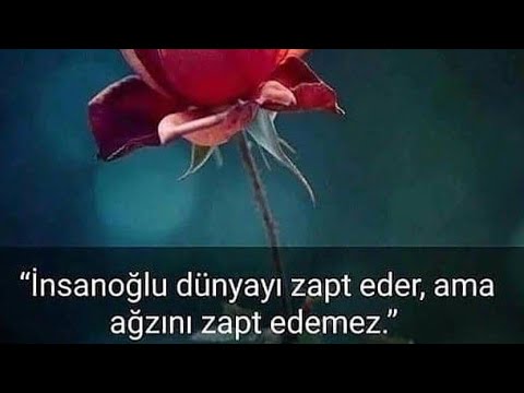 Dini Sözler 🌹Etkileyici Sözler 🌹 Anlamlı Sözler 🌹 Düşündüren Sözler 🌹 Durum Sözleri