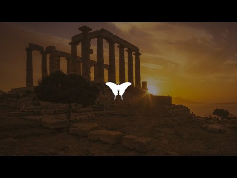 88Butterfly : \