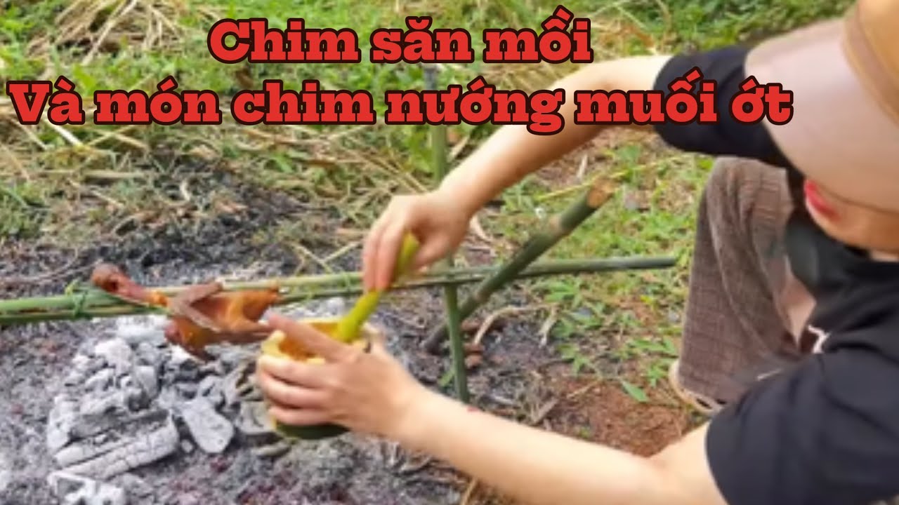 Chim săn mồi và món chim nướng muối ớt - YouTube