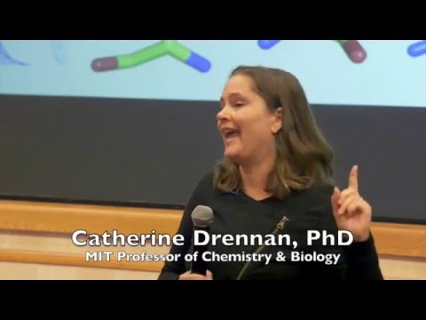 What Every Person with Dyslexia Should Know - MIT Prof Cathy Drennan ...