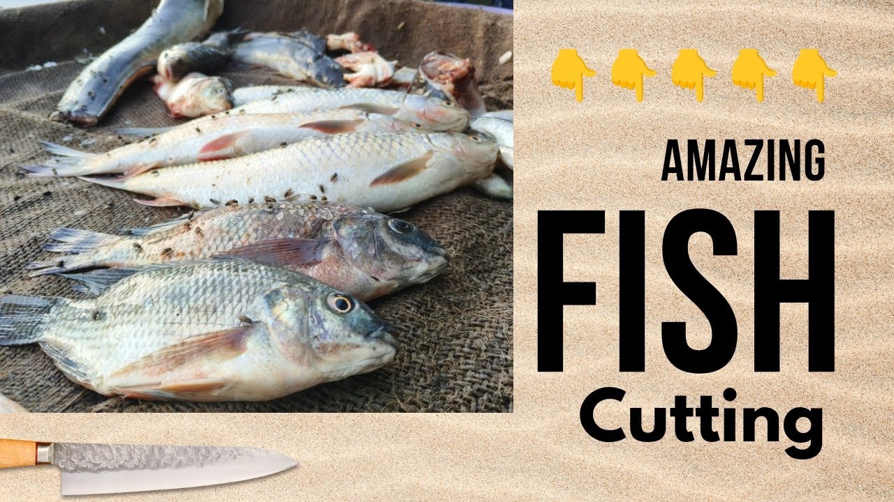 Amazing Fish Skill 🐠|| Fish Cutting Skill || - YouTube
