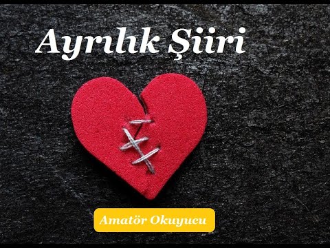 Ayrılık Şiiri - Öylesine yalnızım ki