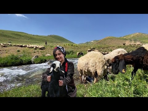Hozan Bozan - Keçe Dine 💐 KÜRTÇE UZUN HAVA ŞARKI MÜZİK