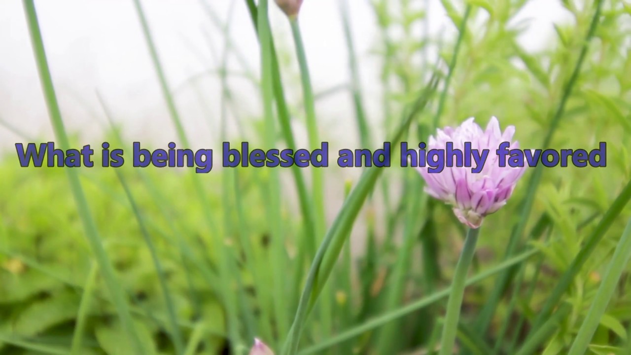 What is being Blessed and Highly Favored - YouTube