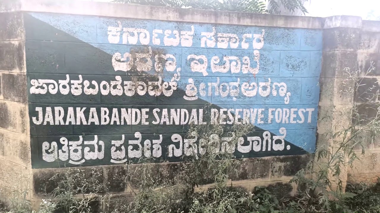 Jarakabande Sandal Reserve Forest, Jalahalli, Bengaluru - YouTube