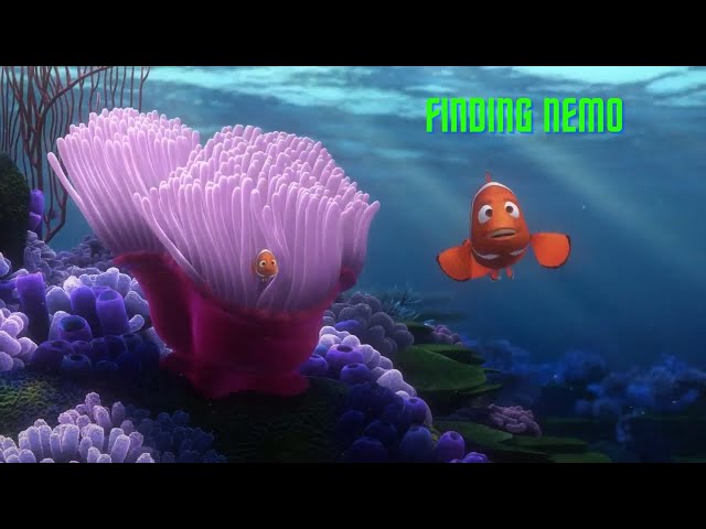 Encontrando Nemo Marlin E Coral #findingnemo #pixar #disneypixar
