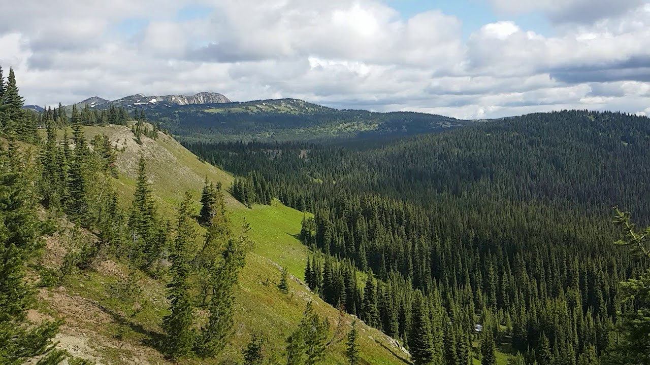 View from Blackwall Peak - YouTube