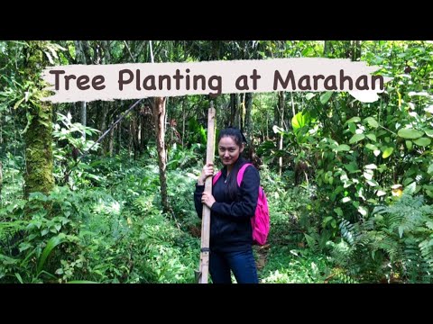 Tree Planting at Marahan Botanical Garden and Wildlife Sanctuary - YouTube