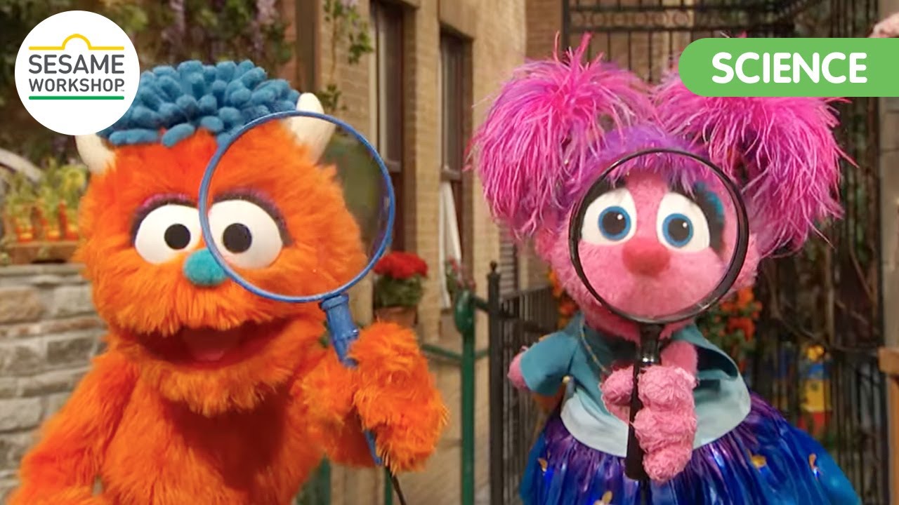 Sesame Street's Abby and Rudy Learn About Science | Science - YouTube
