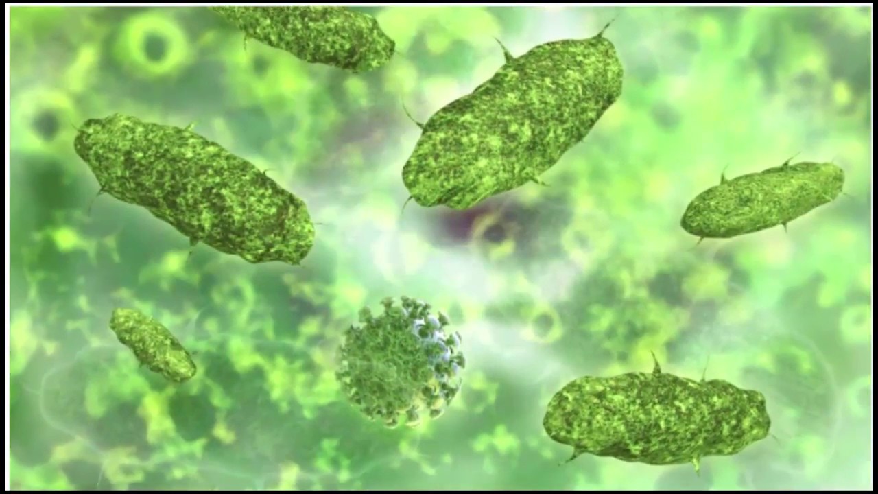 PhysIQ ProBio How BIO Tract Works And Why It's Important - YouTube