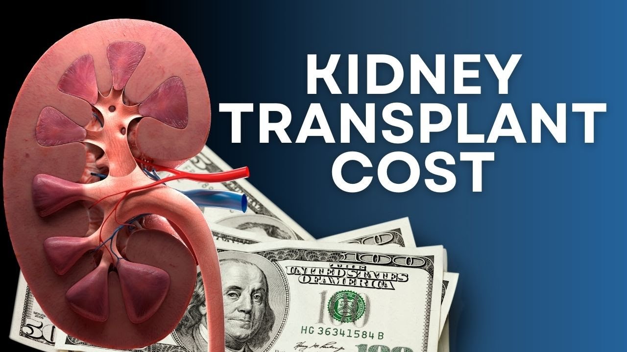 How much does a Kidney Transplant Surgery Cost? EP 44 #kidneyzone - YouTube