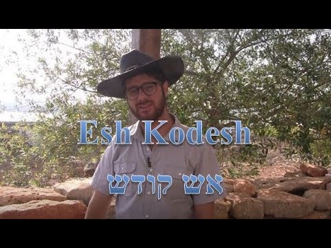 Esh Kodesh - YouTube