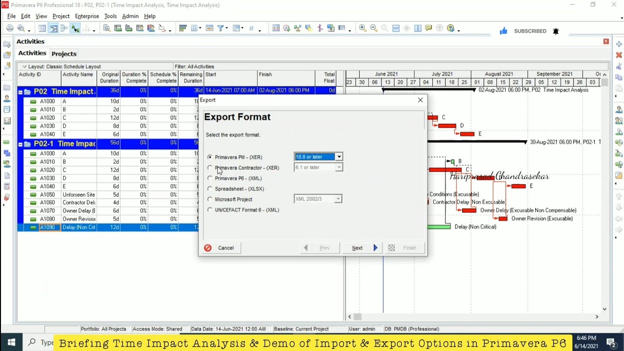Import & Export Options in Primavera P6 - YouTube