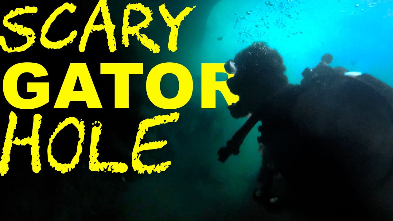 Diving Gator Hole CAVE! You Won't Believe What I Found! - YouTube