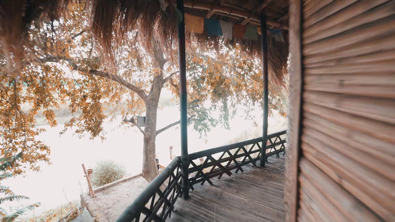 Happy Lemon Tree Lodge on the screen - YouTube