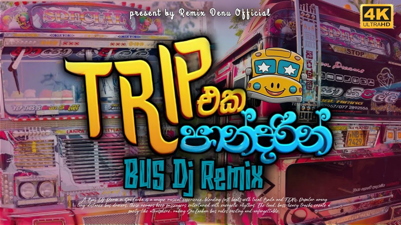 Trip Eka Pandarin Bus DJ Remix ️ (ලස්සන ලයිට් දමා බස් එක ආවා) 🚍 2025 ...