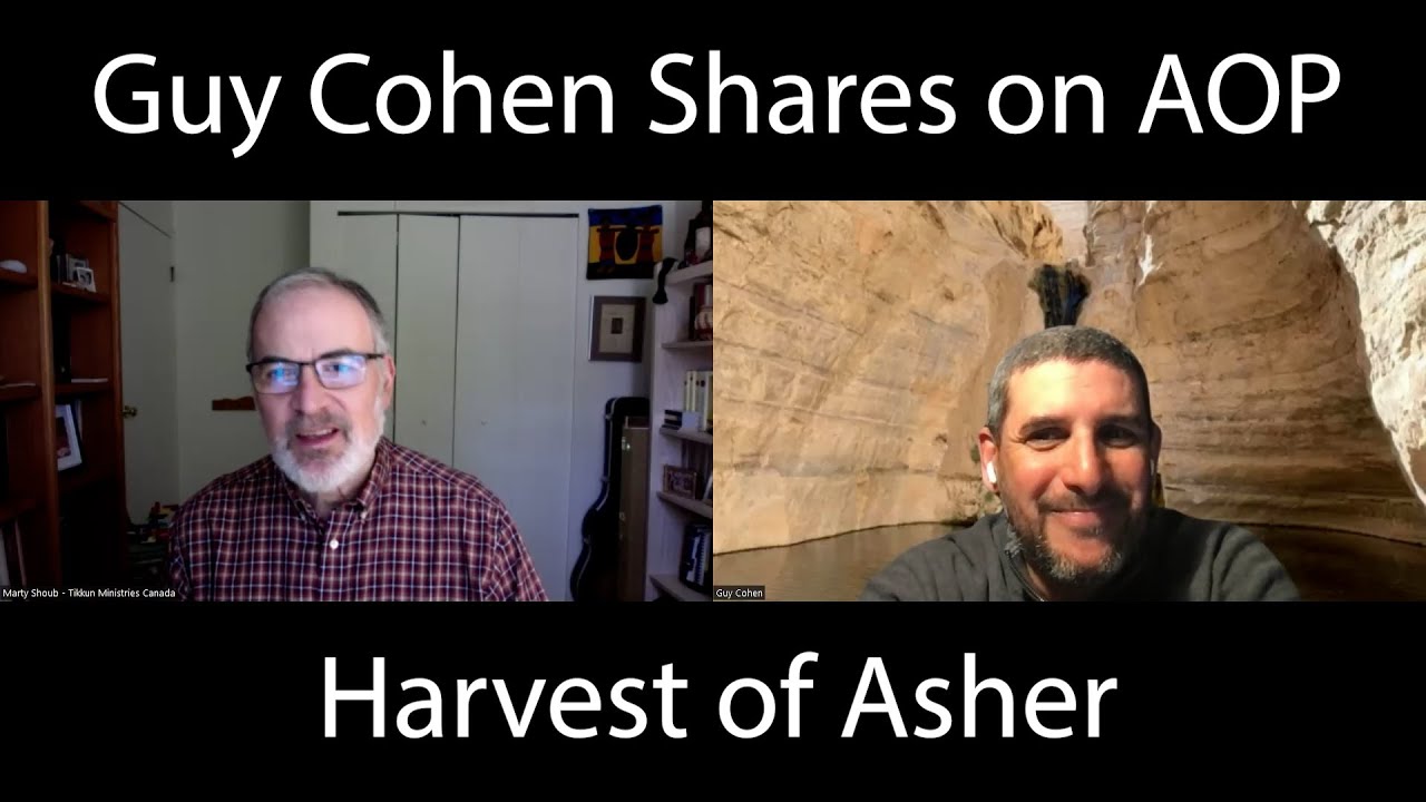 Guy Cohen Speaks on AOP with Marty Shoub - YouTube