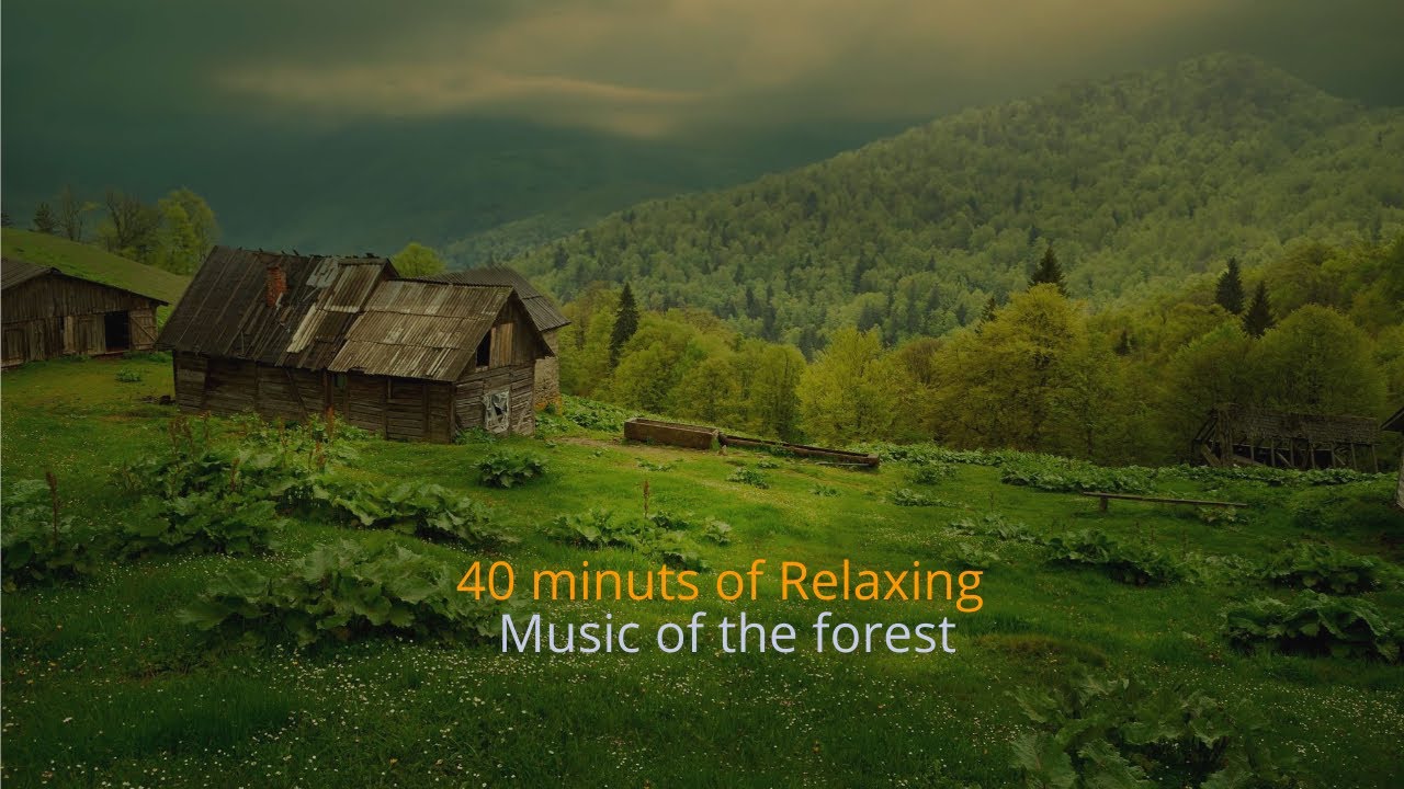 40 mins of Relaxing Music of the Forest- Forest Lack Sound, Birds Music ...