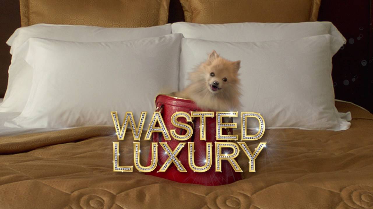3D Dog Lip Sync - Wasted Luxury TVC - YouTube