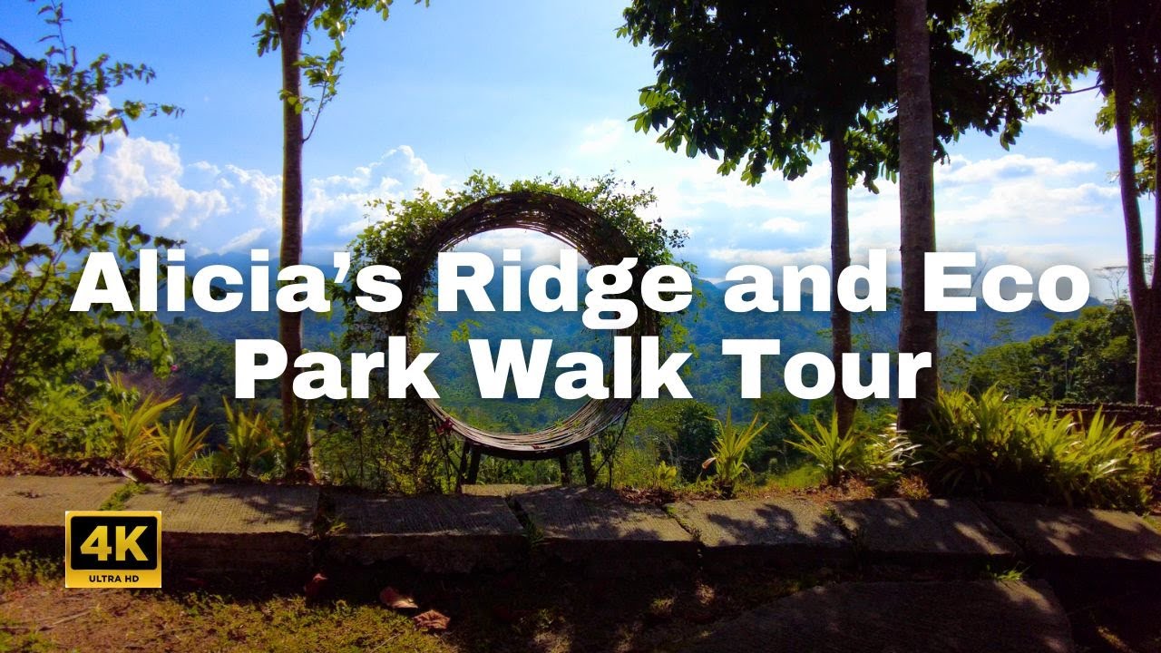 Alicias Ridge and Eco Park Walk Tour|Buenavista ADN|4K HDR - YouTube