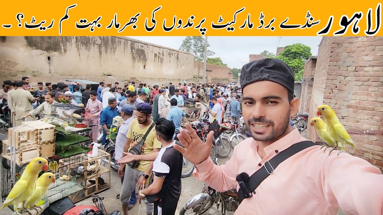 Lahore Sunday Birds Market Main Prindon ki Bharmar Rates itne Km ke aap ...