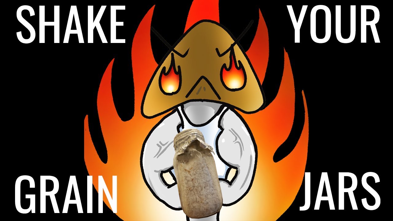 How to Shake your Mushroom Grain Jars - YouTube