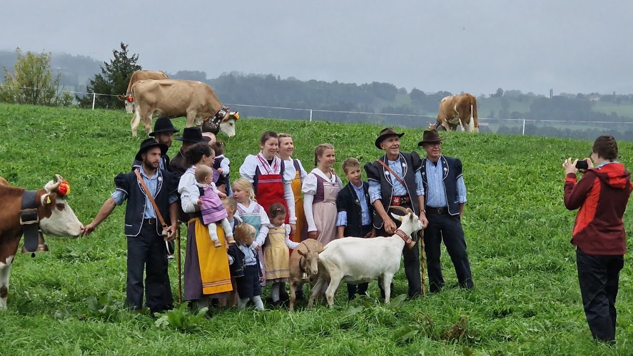 Désalpe villages de Albeuve alpaufzug switzerland 🇨🇭 2023 2024 - YouTube