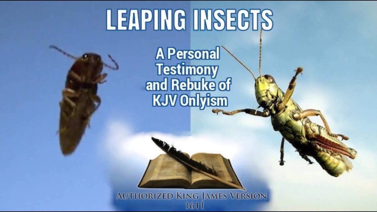 LEAPING INSECTS; A Personal Testimony and Rebuke of KJV Onlyism - YouTube