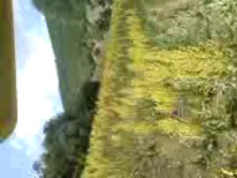yozgat çekerek kuzgun köyü 2009(3)  cavit karabey damar