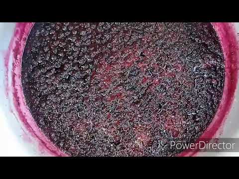 🔴 BOYURTKEN MUREBBESININ HAZIRLANMASI