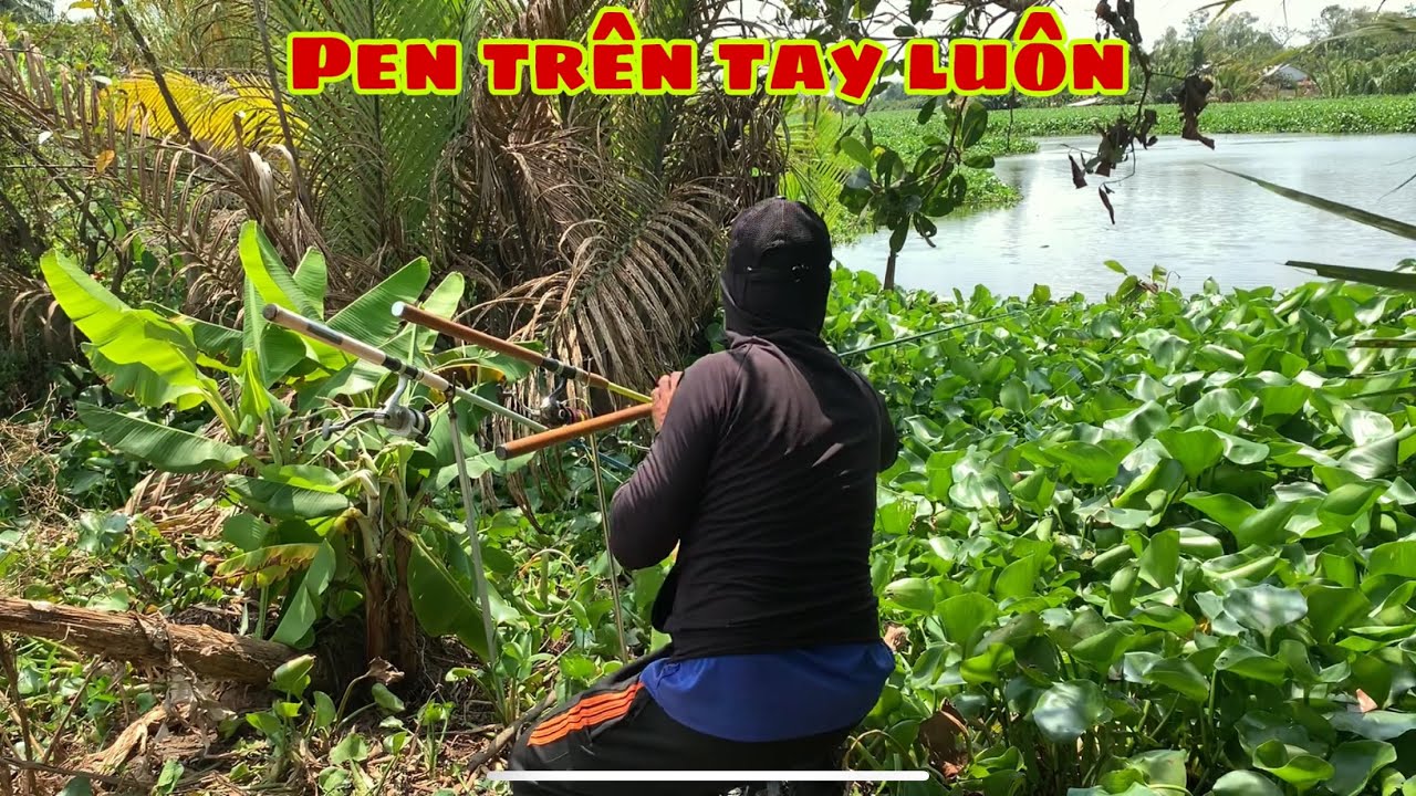 Câu Cá Tra Sông - Gặp Bãi Cá Lộn Cá Ăn Không Kịp Móc Mồi | Fishing ...