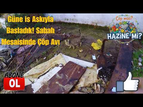 Sabah Mesaisi Başladı | Güne İş Aşkıyla Başladık! Sabah Mesaisinde Çöp Avı