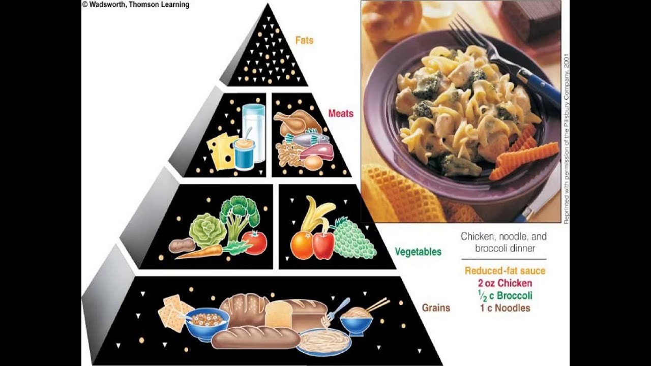 Dr. Jonathan Spages - Diet Planning Principles - YouTube