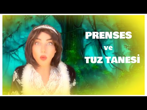 Prenses ve TuzTanesi |Yeni Türkçe Çizgi Film Çocuk Masalı |Fairy Tales /Türkçe Masallar /Masal Dinle
